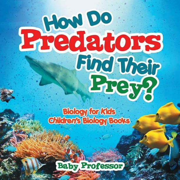 How Do Predators Find Their Prey? Biology for Kids Children's Biology ...