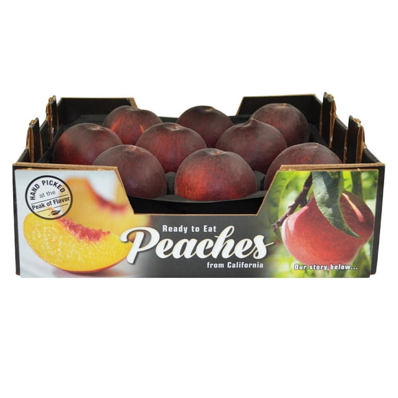 Fresh Fruit