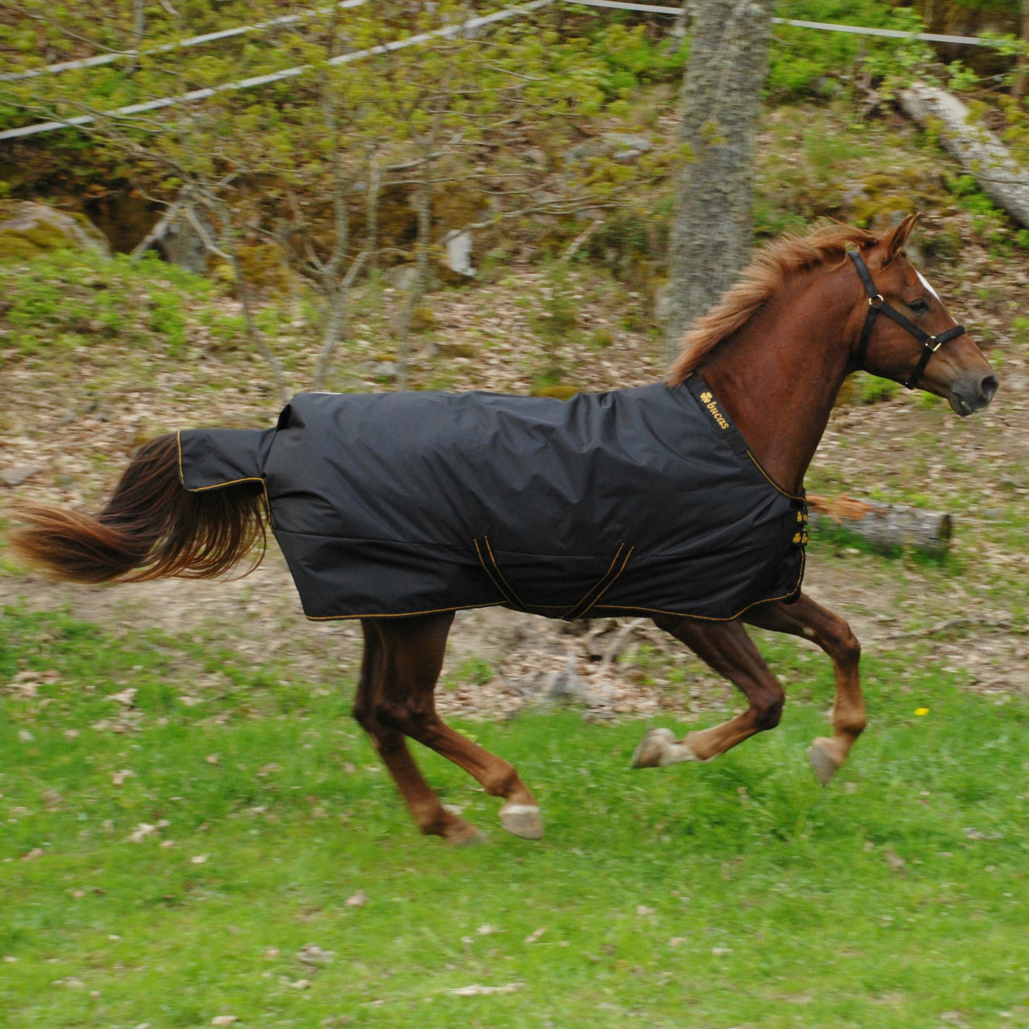 Bucas Irish Light Turnout - Walmart.com