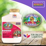 BONIDE PRODUCTS 252 Ready-to-Use Captain Jack Insect Spray, 16 Ounces ...