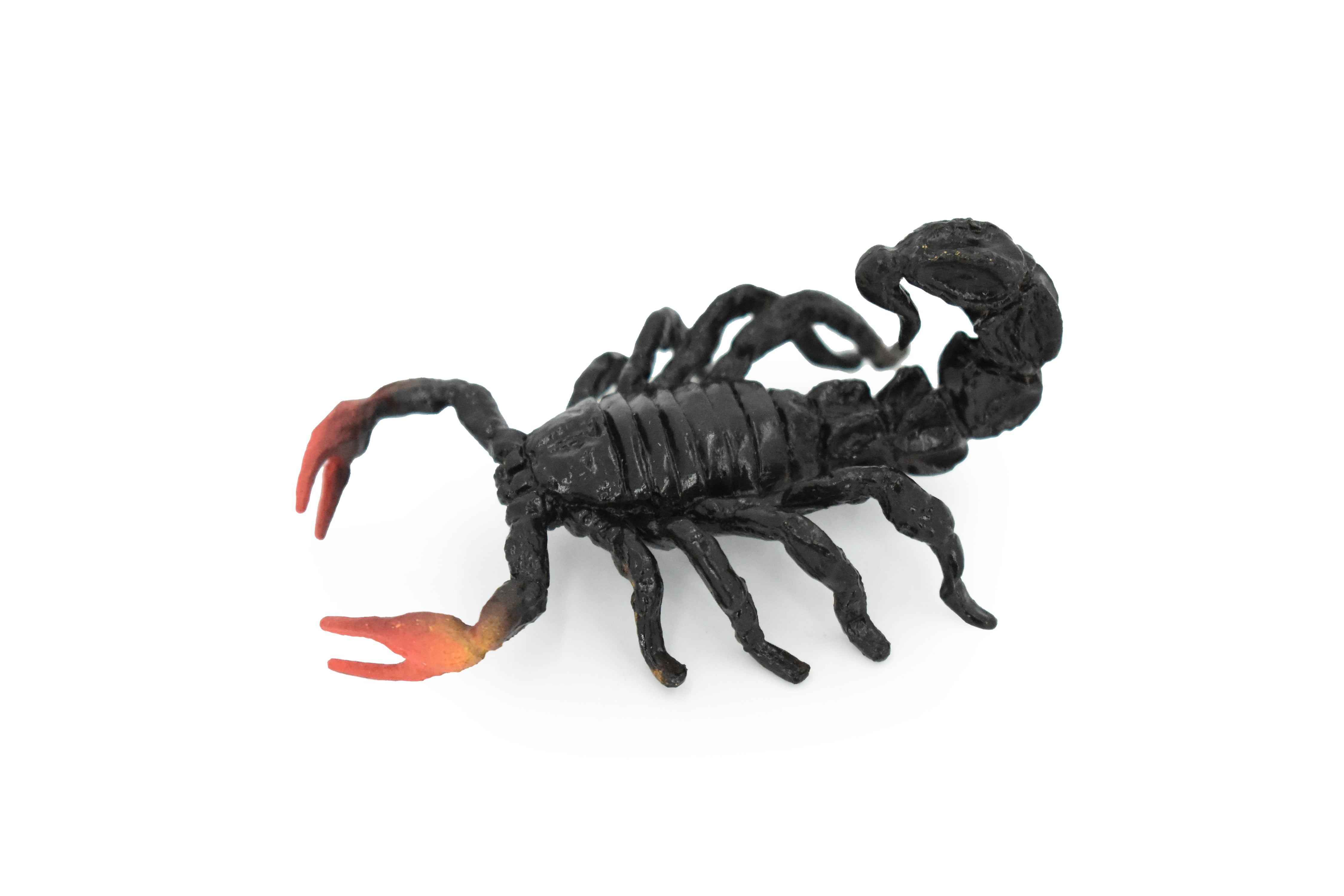 Scorpion, Black, Fat-tailed, Detailed, Rubber Toy Animal, Realistic ...