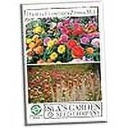 Phacelia"Lacy Fiddleneck" Flowers, aka Purple Tansy, 300 Heirloom Seeds ...