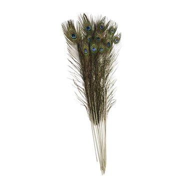 Creativity Street® Feathers, Bright Hues, 1oz, 6 packs - Walmart.com