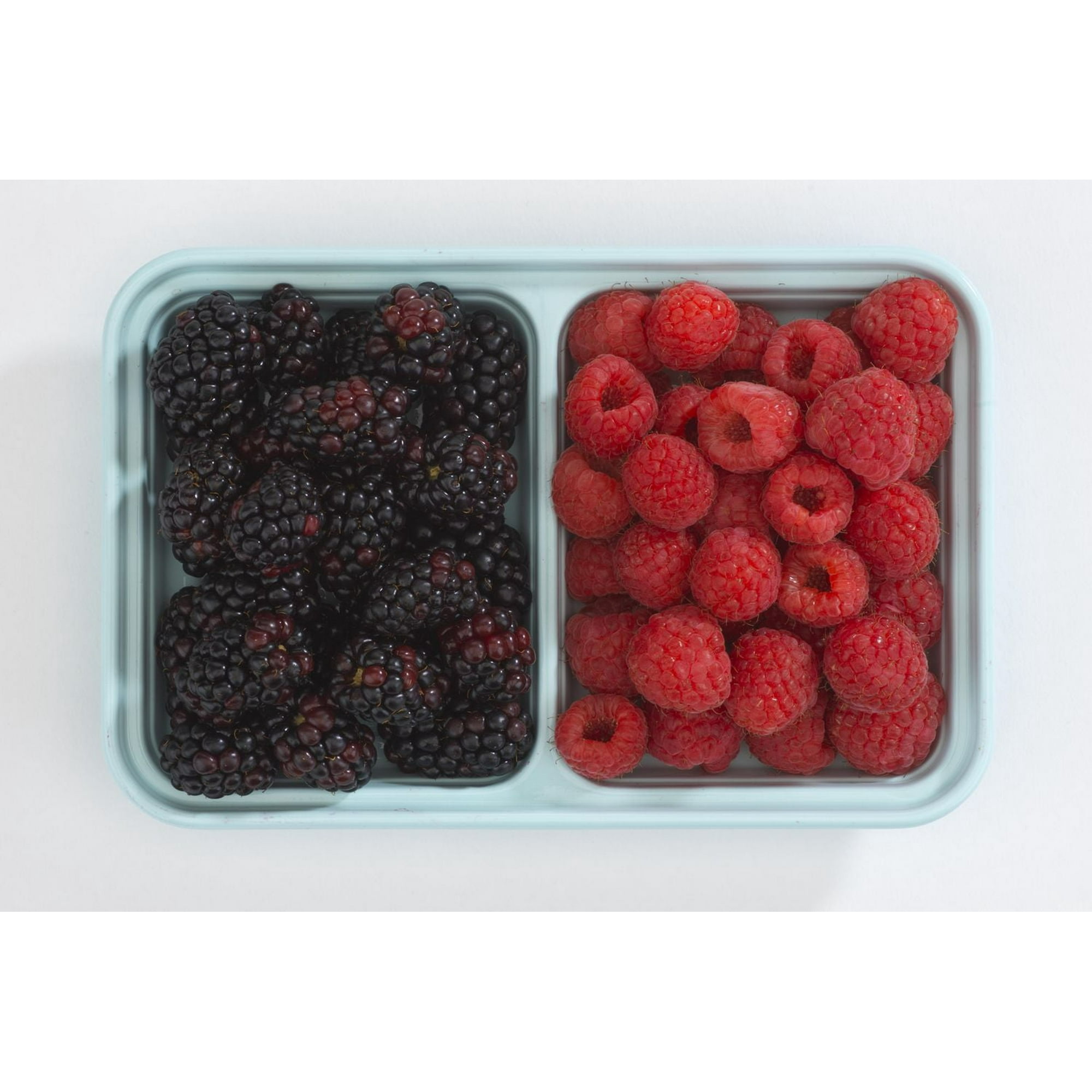 Click here for Goodcook Meal Prep Container  Small  2 Compartment prices