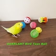6pcs Foraging Ball Bird Toys Conures Feeder Toys Parakeets Foot Talon ...
