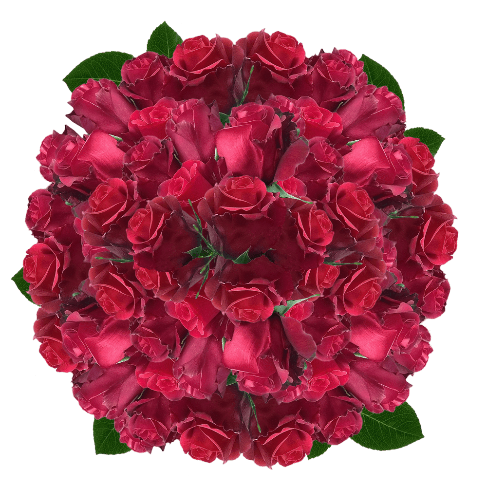 100 Stems of Sexy Red Roses- Fresh Flower Delivery - Walmart.com