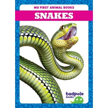 Little Kids First Big Book of Reptiles and Amphibians - Walmart.com