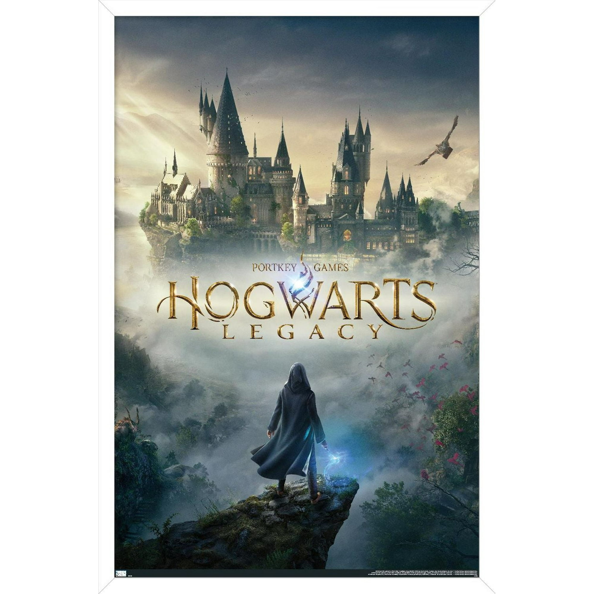 Click here for Trends International Harry Potter: Hogwarts Legacy... prices