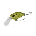 Small Realistic Fishing Lures for Basses Trouts Lasting Lightweight ...
