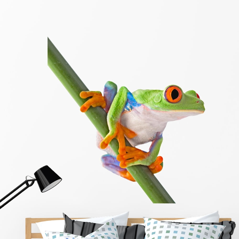 Red Eyed Tree Frog Wall Decal Sticker by Wallmonkeys Vinyl Peel and ...