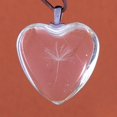 4 pc Heart Alloy Glass Pendants with Dried Dandelion Inside For ...