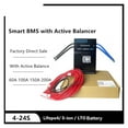 1A 2A Active Balance BMS 4S 8S 12S 13S 14S 16S 20S 24S Smart Bms 40A 60A 80A 100A 150A 200A Li ...