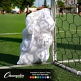 Champion Sports Mesh Sports Equipment Bag- Gold, 24" X 20 ...