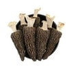 TRUE Morel Mushroom Indoor Grow Kit - Plant and Harvest at Home or ...