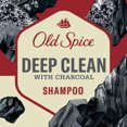 Old Spice Volcano Charcoal Shampoo for Men, All Hair Types, 21.9 fl oz ...