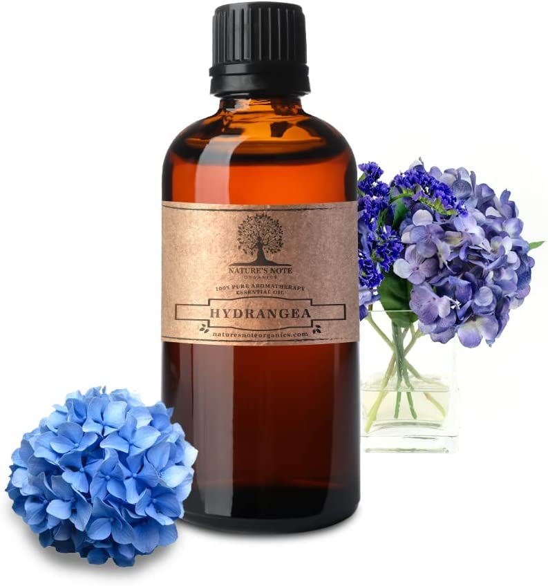Hydrangea - 100% Pure Aromatherapy Grade Essential oil by Nature's Note ...