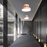 IPEWLEX Nordic Style Corridor Lights with High Brightness LED Lens and ...