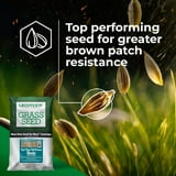 GreenView Fairway Formula Grass Seed Turf Type Tall Fescue Shady ...