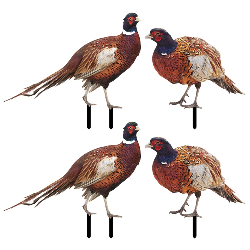 2 juegos de estacas de faisán para jardín, decoración de suelo, inserto ...