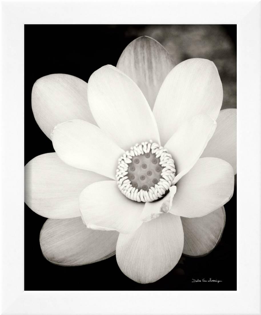 Drawing & Illustration Rachel Swearingen 16x24 Poster And High ...