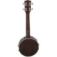 Gold Tone BUT Tenor Banjo Ukulele Vintage Brown - Walmart.com