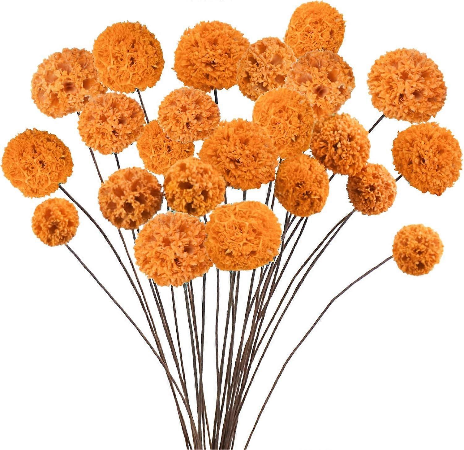24 piezas de flores secas de Craspedia Billy Balls, ramo de 18 flores ...