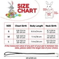 Rabbit Harness and Leash Bunny Stuff Rabbit Walking Harness Bunny Leash ...