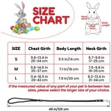 Rabbit Harness and Leash Bunny Stuff Rabbit Walking Harness Bunny Leash ...