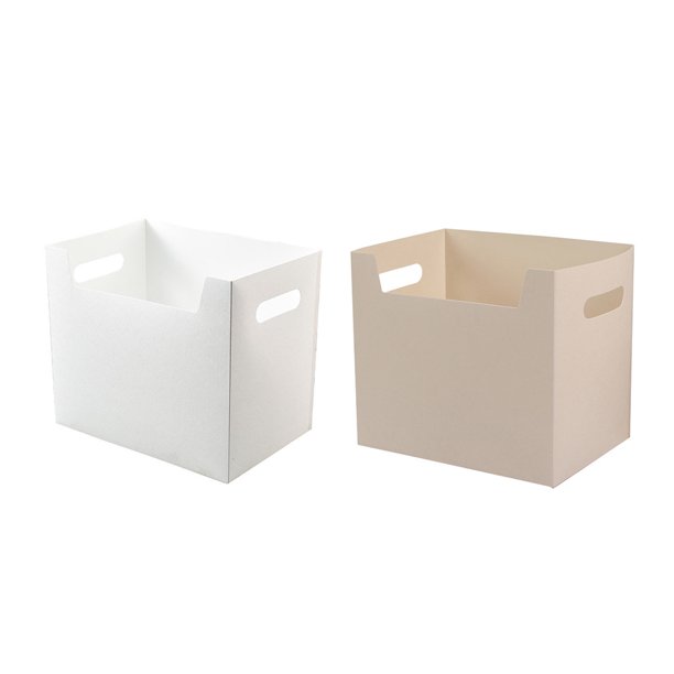 Plastic Storage File Boxes