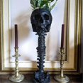 Resin Skull Planter & Spine Stand Set, Polyresin Skulls Pot, Halloween ...