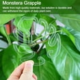 Monstera Grapple, Monstera Leaf Plant Support, Turtle Shell Bamboo ...