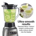 Hamilton Beach Multifunction Smoothie Maker with Wave Crusher Blender ...