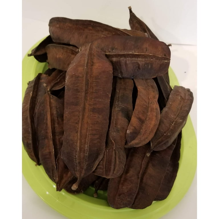 Prekese, Aidan Fruit Pod, Tetrapleura Tetraptera, Africa, 42% OFF