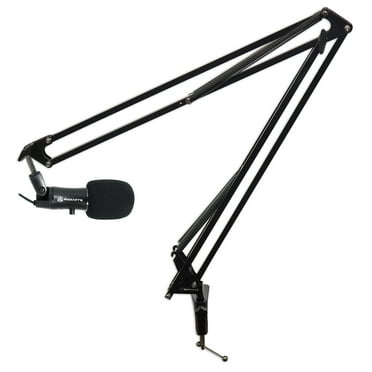 Paper Jamz Pro Mic, Style 3 - Walmart.com