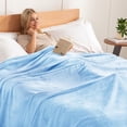 Cozy Flee Blanket for Adults 300Gsm Plush Throw Sofa Couch Bed, Warm ...