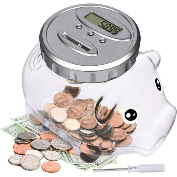 Large Coin Bottle Bank