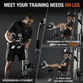 Syedee Multifunctional Home Gym Station - 150LB Weight Stack for Full Body Training - Walmart.com