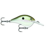 Rapala DT Series Crankbait DT14 - Walmart.com