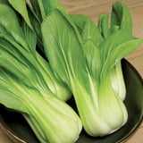 Burpee Baby Choi Cabbage Seeds - Non-GMO, Vegetable Gardening Seeds ...