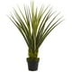 Nearly Natural 3.5’ Pandanus Artificial Plant - Walmart.com