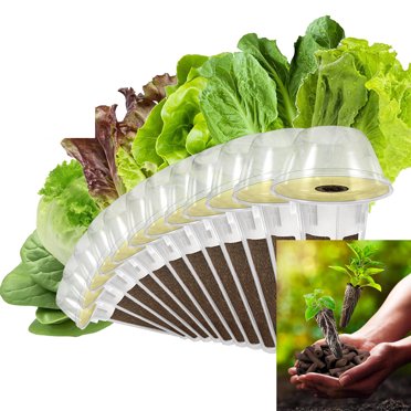 Lettuce Seed Pod Kit for AeroGarden, ITL1 Romaine, Butter Head, Red ...