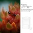 Ants Feeding Container Acrylic Ants Water Feeders Ants Nest Water ...