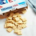 Premium Mini Saltine Crackers 11 oz, Light Crisp Salted Snack Squares ...