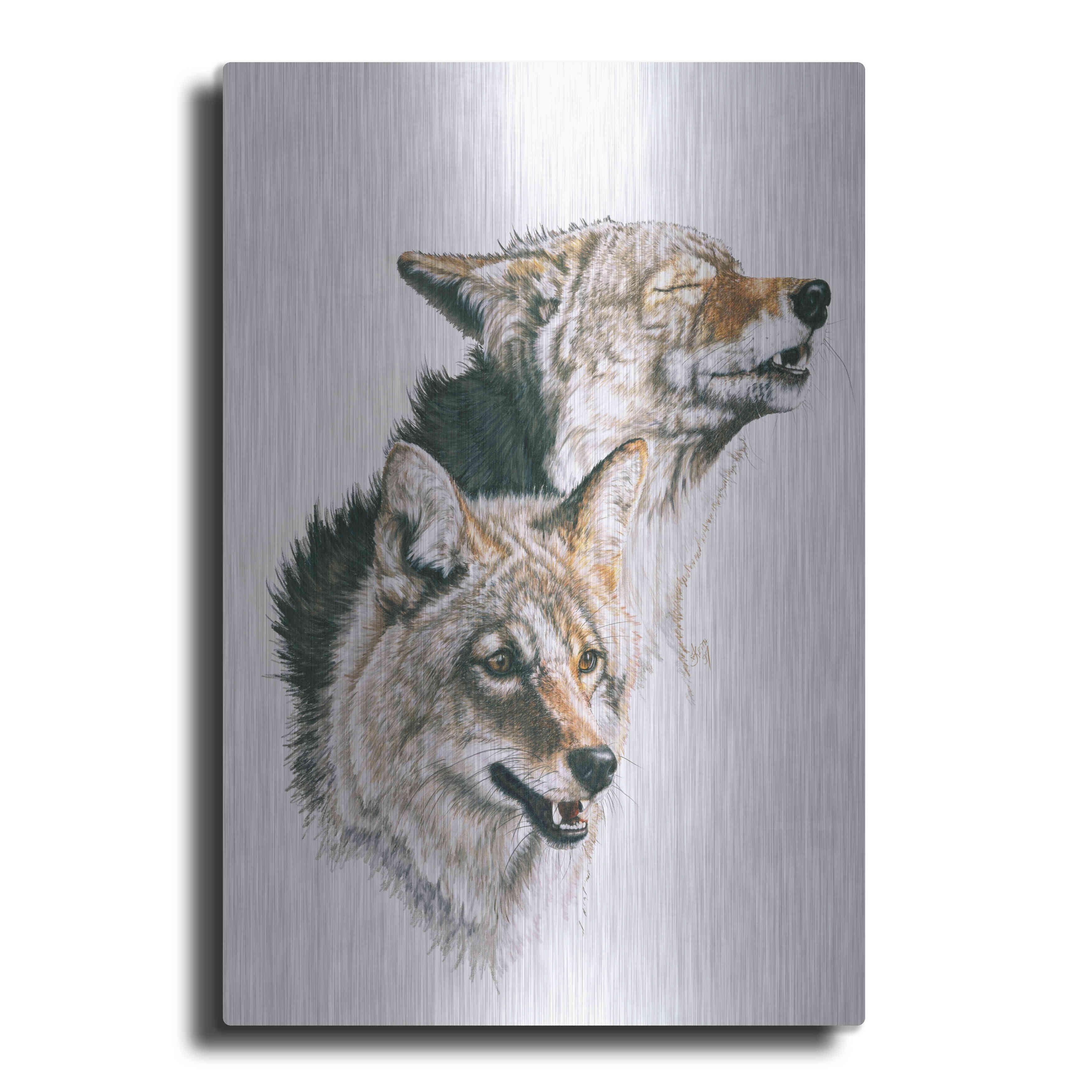 Luxe Metal Art 'Nature's Minstral' by Barbara Keith, Metal Wall Art, 16 ...