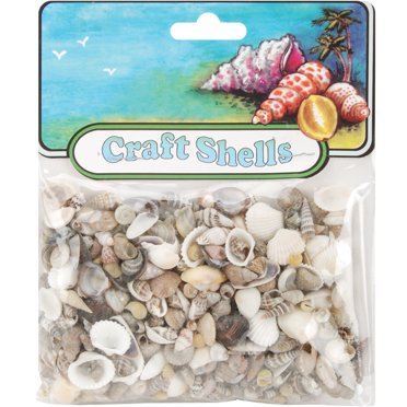 Sea Shell Mixes, Natural - Walmart.com