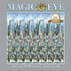 Magic Eye: Magic Eye 25th Anniversary Book (Hardcover) - Walmart.com