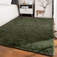 Lochas Comfy Furry Area Rugs, Soft Plush Carpet for Home Decor, 4'x5.3 ...