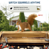MIXXIDEA Wooden Squirrel Feeder with Camera, Smart Squirrel Feeder with Solar Panel, AI ...