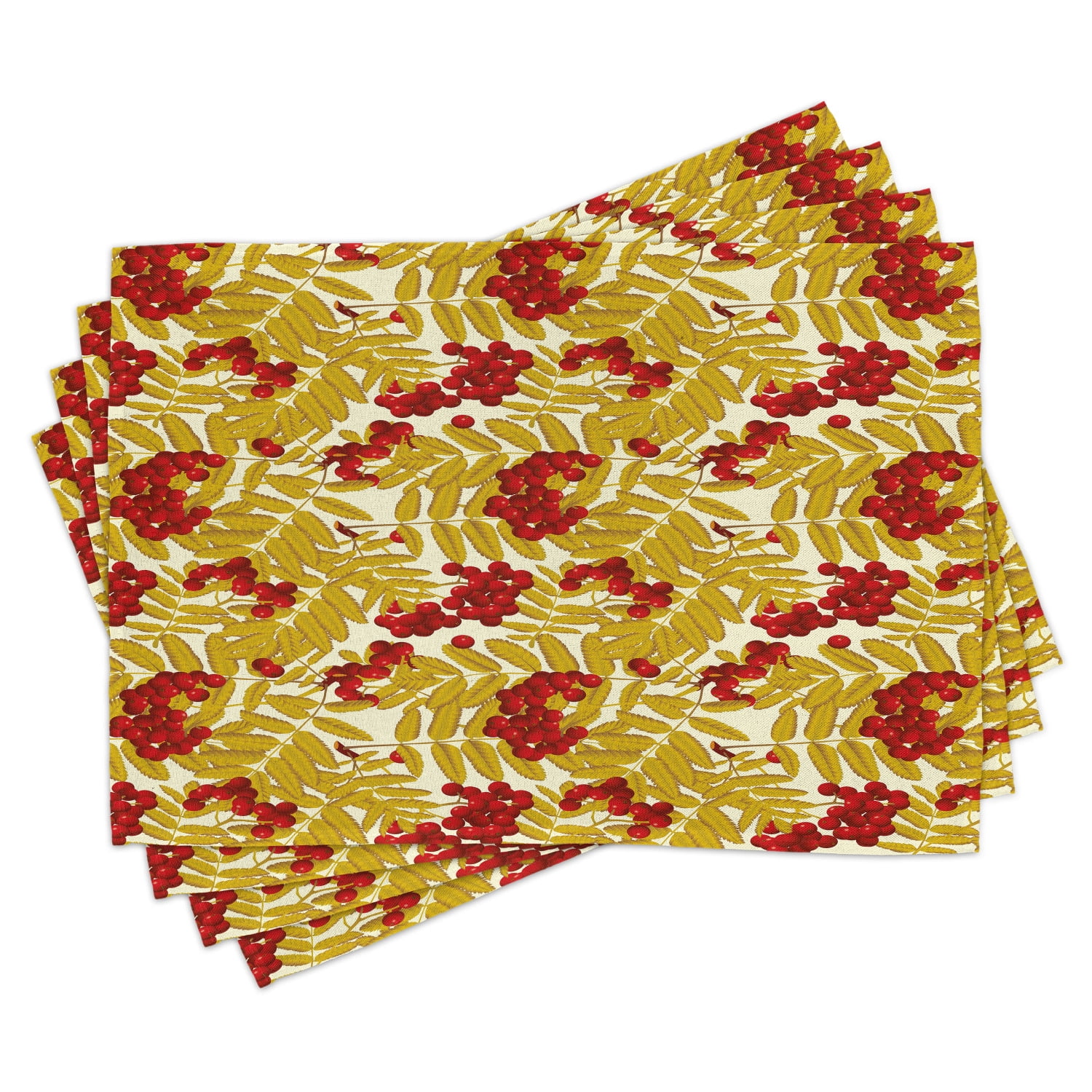 Ambesonne Rowan Place Mats Set of 4, Juicy Ripe Fruits Leafage ...