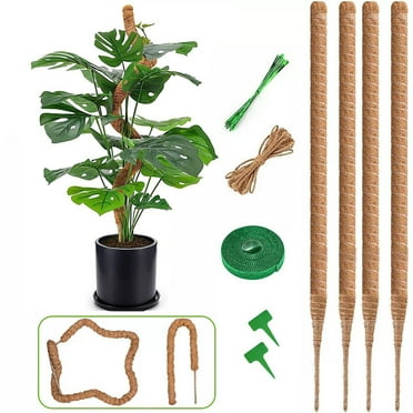 Envelor Coco Moss Poles Plant Support Stakes Coco Plant Stake Pothos ...